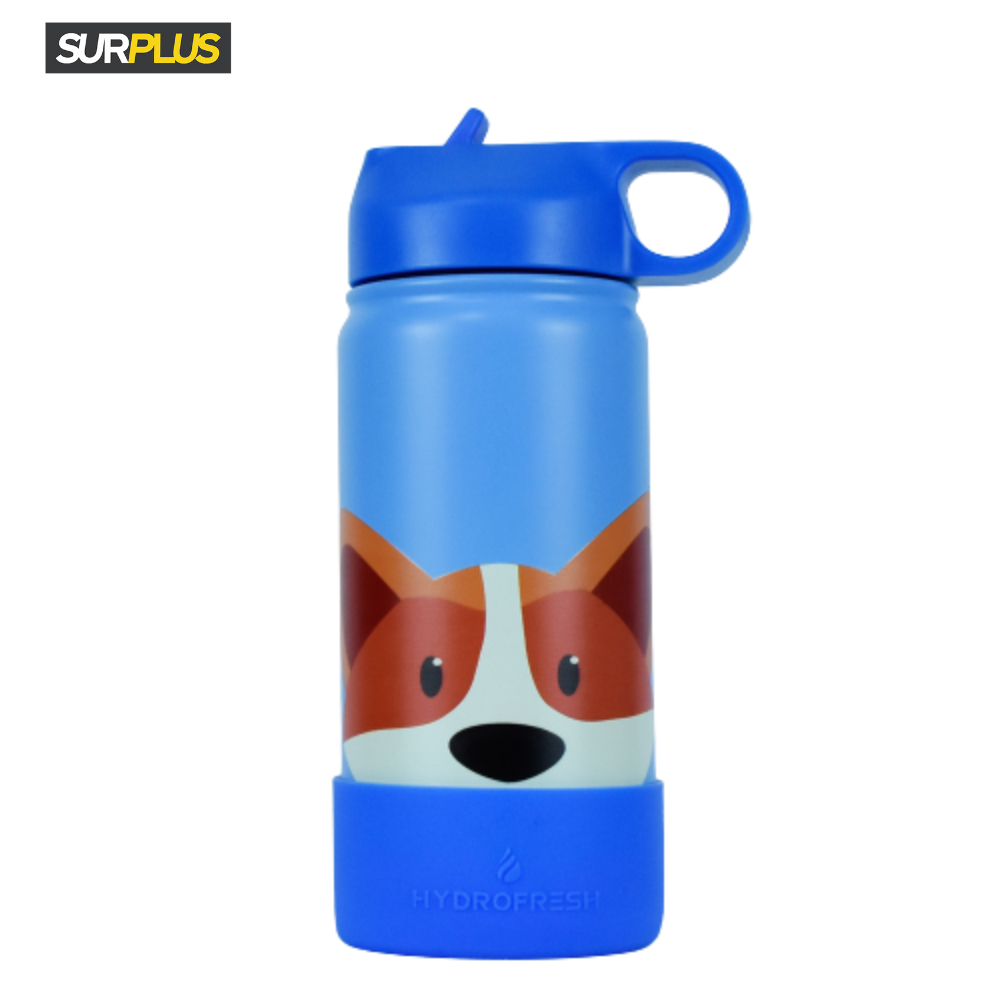 Surplus Hydrofresh Kids Printed Flask with Straw 430mL With Silicon ...