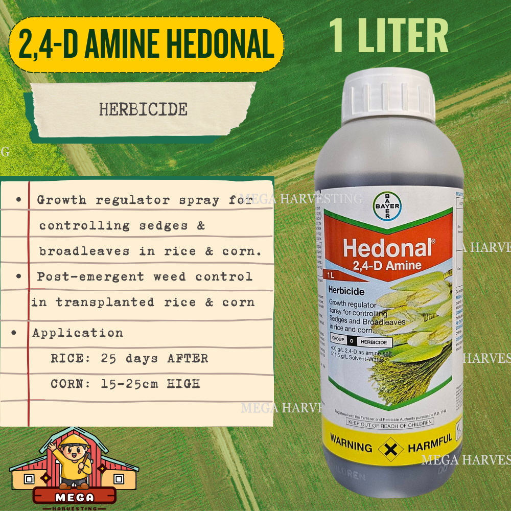 2,4-D AMINE HEDONAL 1L HERBICIDE WEED CONTROL FOR GRASS AND CORN 24-D ...