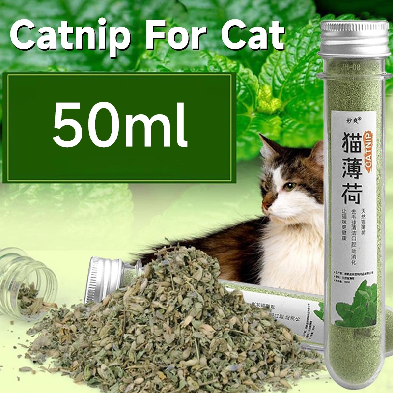 Catnip For Cat Natural Catnip Powder Cat Grass Vanilla Mutiana Leaf Snacks Food 50ML | Shopee ...