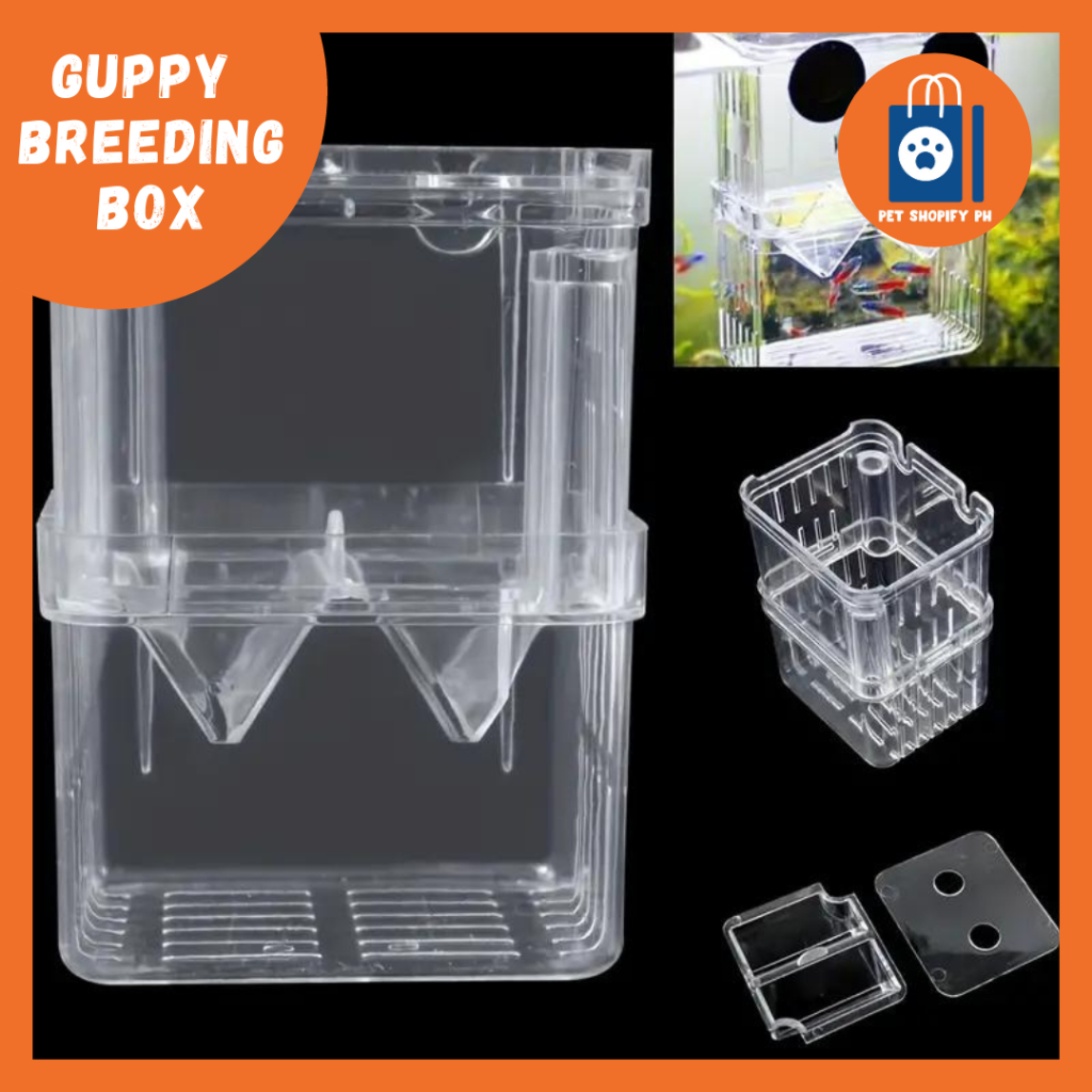 RAINBOW BREEDING BOX / GUPPY BREEDING BOX for Betta Fish isolation Box ...