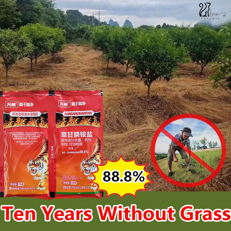 【remove grass in 7 days】Glyphosate herbicide Grass killer chemical 100G ...