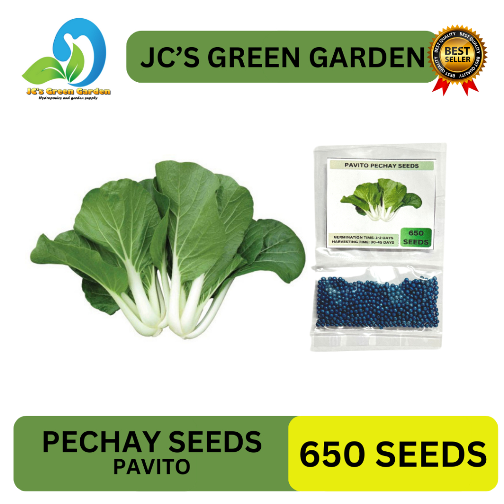 VALUE PACK (650 SEEDS) PECHAY PAVITO SEEDS/HYBRID/HIGH YIELDING/FOR ...