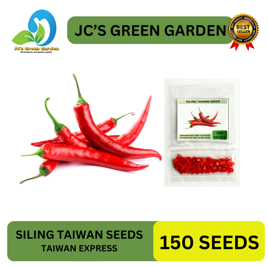 (150 SEEDS) SILING TAIWAN SEEDS/TAIWAN EXPRESS F1/FOR PLANTING | Shopee ...