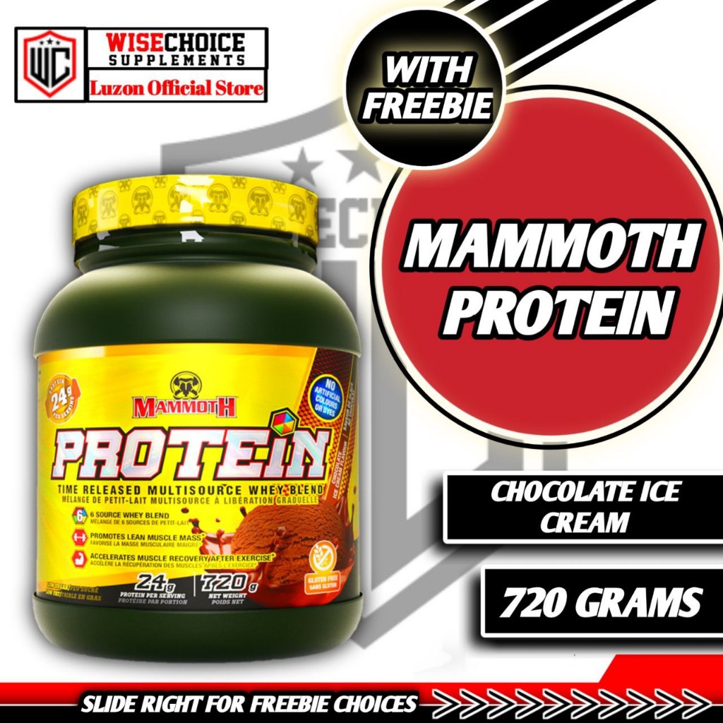 MAMMOTH PROTEIN 720 GRAMS CHOCOLATE ICE CREAM | Shopee Philippines