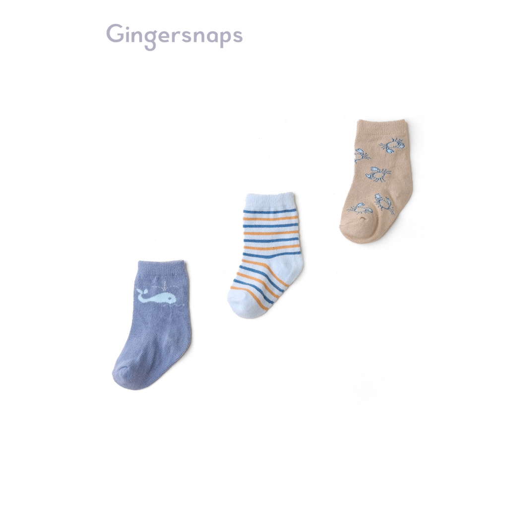 Gingersnaps 3-Pc Socks Set | Shopee Philippines