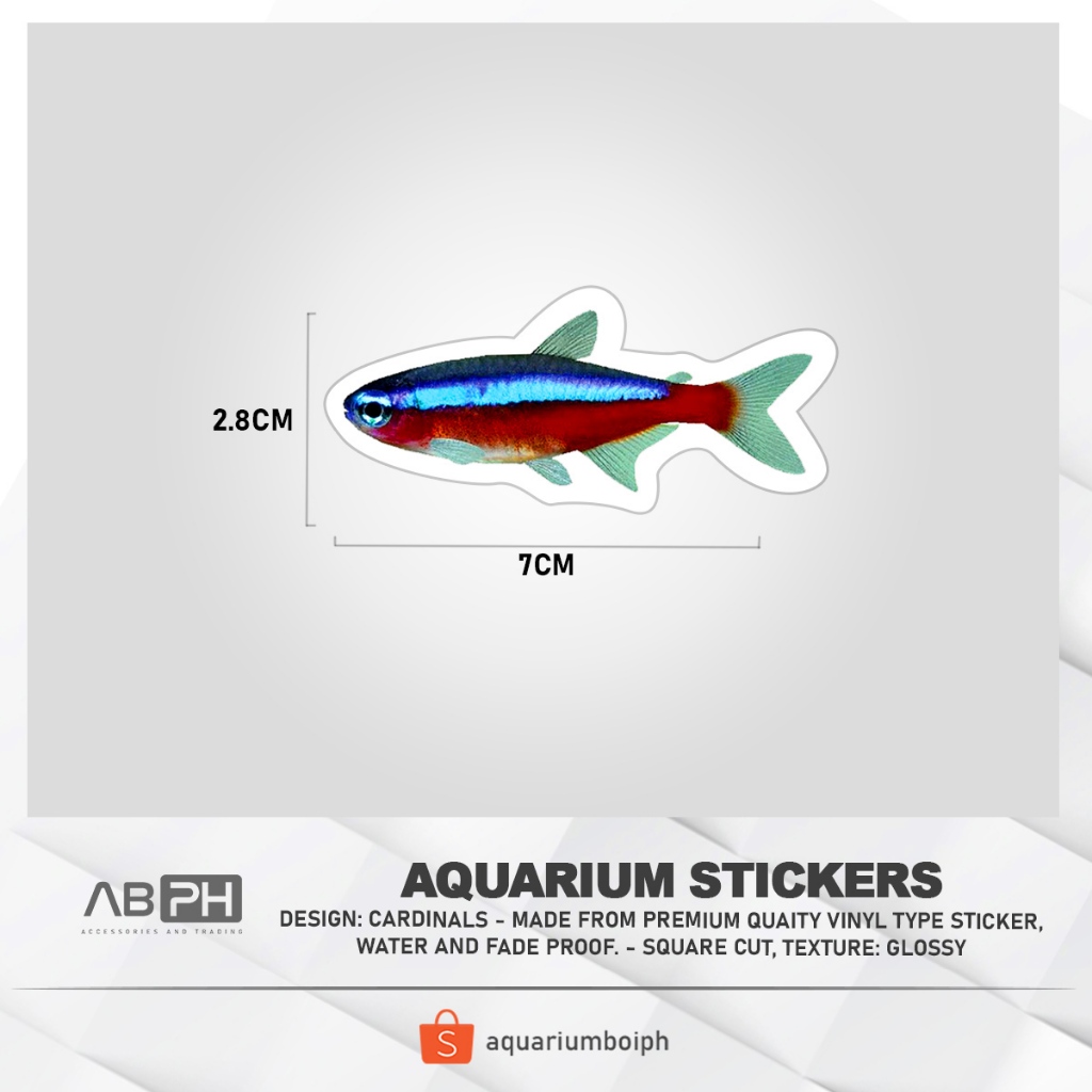 Cardinal Tetra - ABPH Aquarium Sticker 4pcs | Shopee Philippines