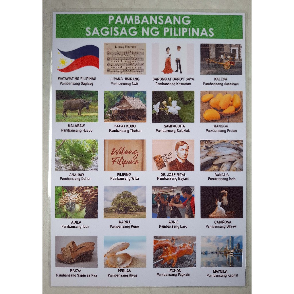 Anyong Lupa A4 Laminated Educational Charts for Students Philippine ...