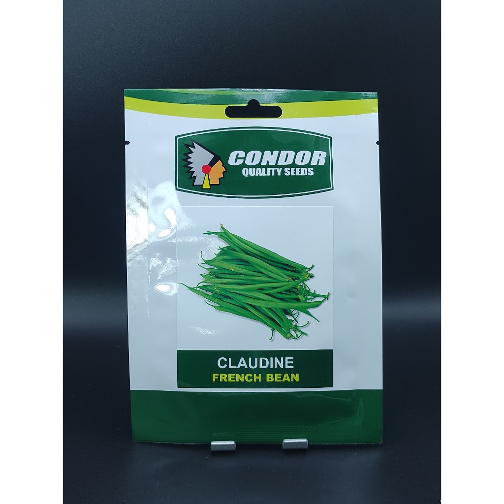 CONDOR CLAUDINE FRENCH BEANS BUSH TYPE (5 GRAMS OR AROUND 25 SEEDS ...