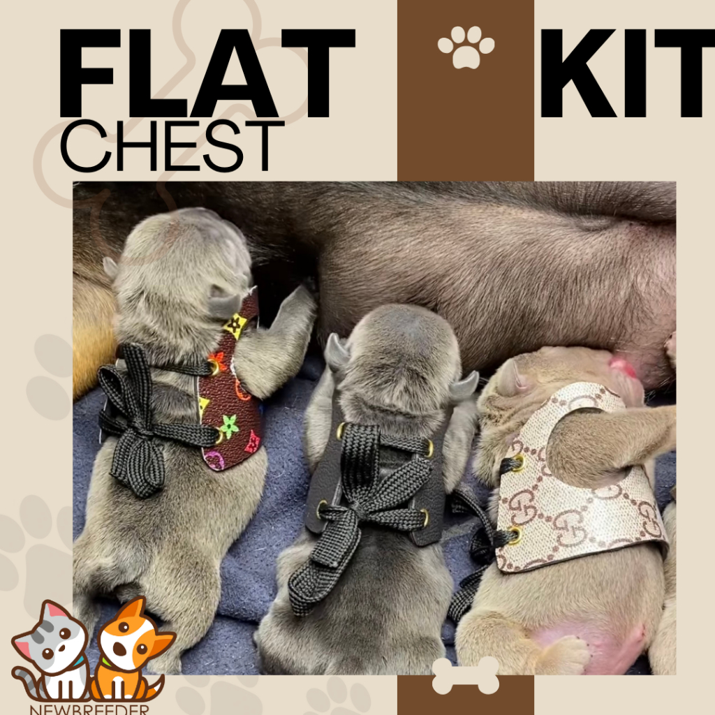 Flat Chest Puppy Flat Chest Kit for Chest Deformities and Difficulty of ...