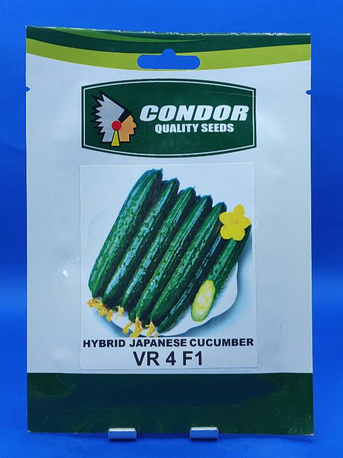 CONDOR VR 4 F1 HYBRID JAPANESE CUCUMBER SEEDS (100 SEEDS) | Shopee ...