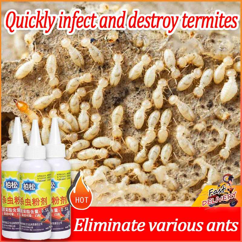 Fast and effective75g Anay termite killer ant medicine killer Prevent ...
