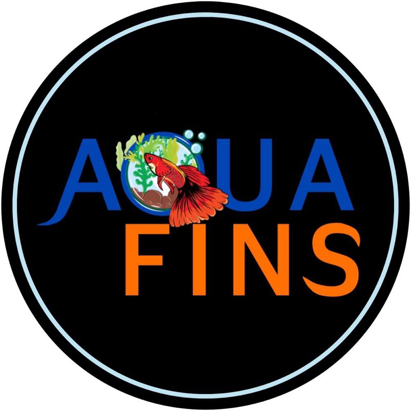 PL4NTS4 AFR (READ DESCRIPTION FIRST) | Shopee Philippines