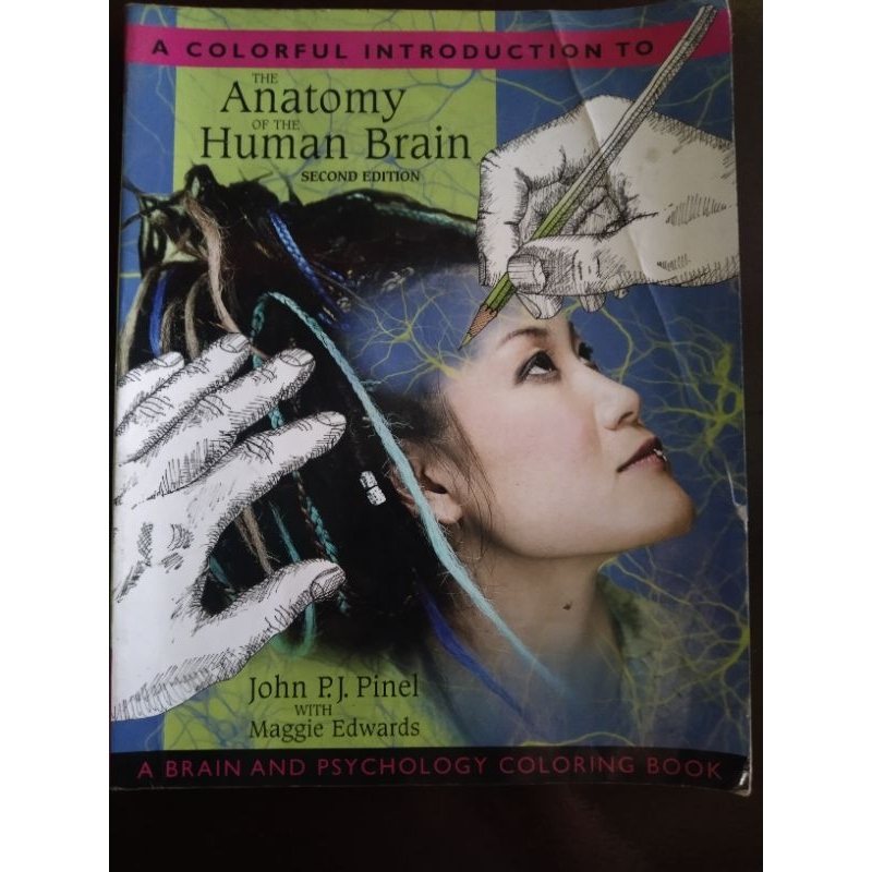 A Colorful Introduction to the Anatomy of the Human Brain: A Brain and ...