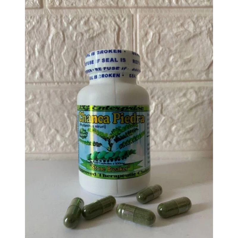 CHANCA PIEDRA "STONE BREAKER" HERBAL SUPPLEMENT 500mg/100 Capsules ...