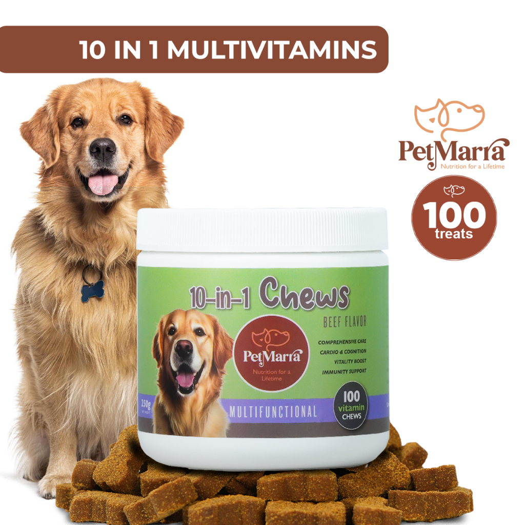 PetMarra 10 in 1 Chews Dog Treats Multifunctional 250g PetMate ...