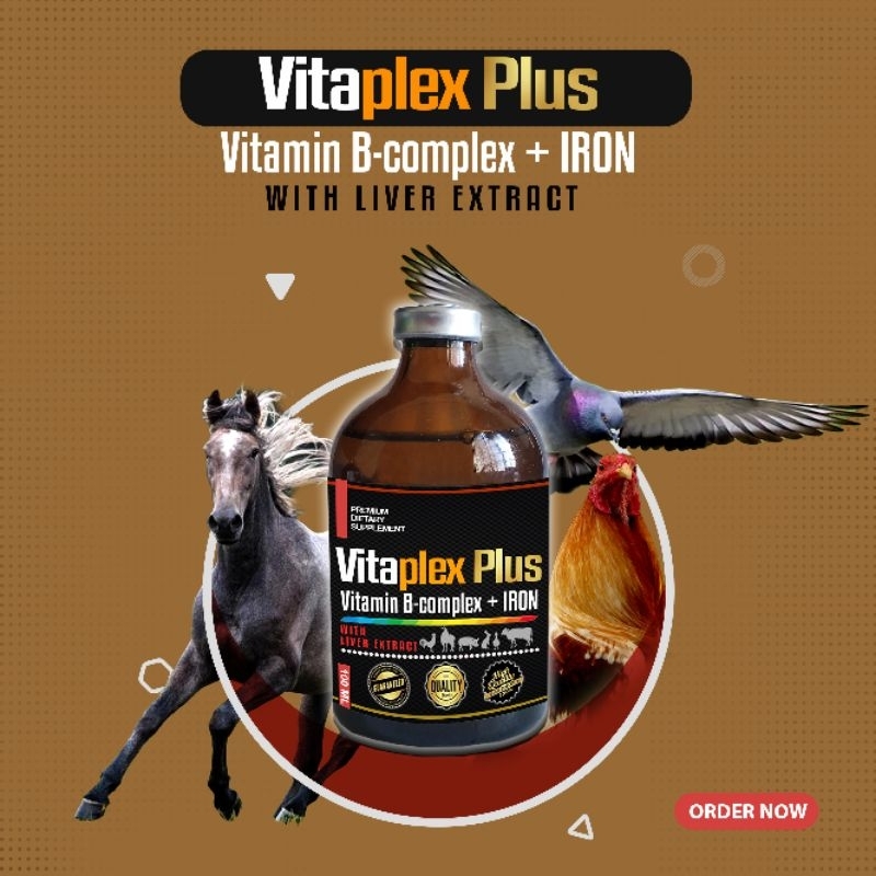 VITAPLEX PLUS 20ML INJECTABLE ( Vitamin Bcomplex + IRON) | Shopee Philippines