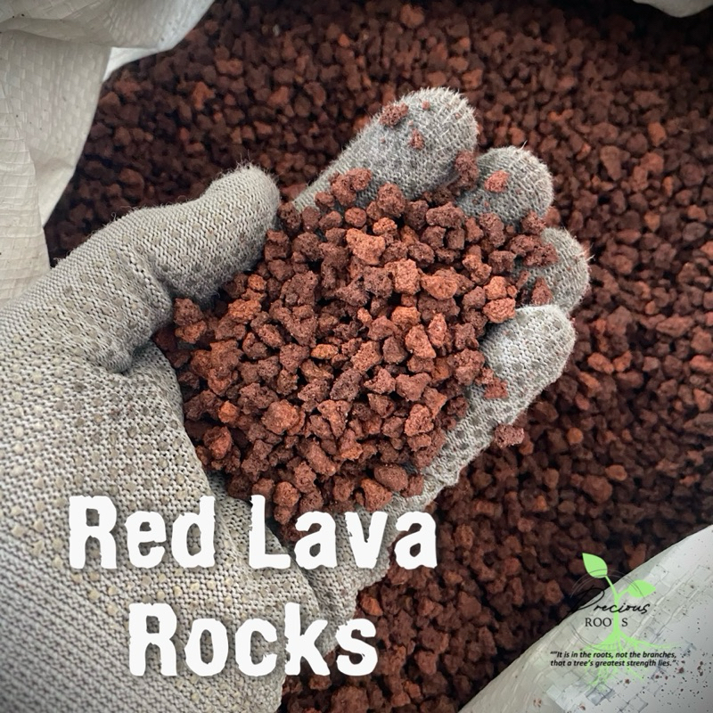 RED LAVA ROCKS 1 kilo | Shopee Philippines
