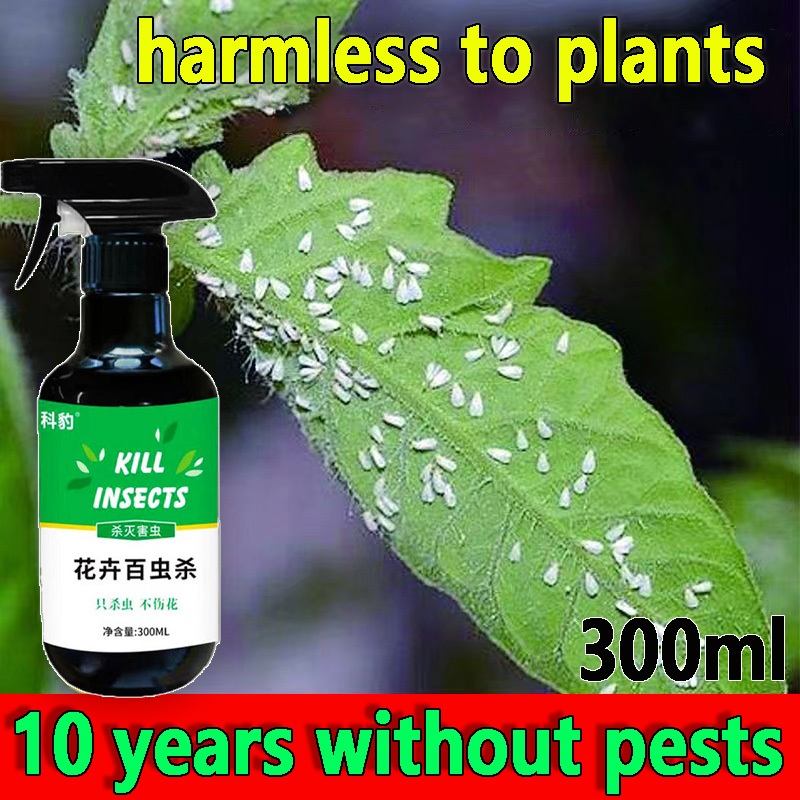 Pesticides for plants 300ml No harm to plants Bug Spray Aphids Mites ...