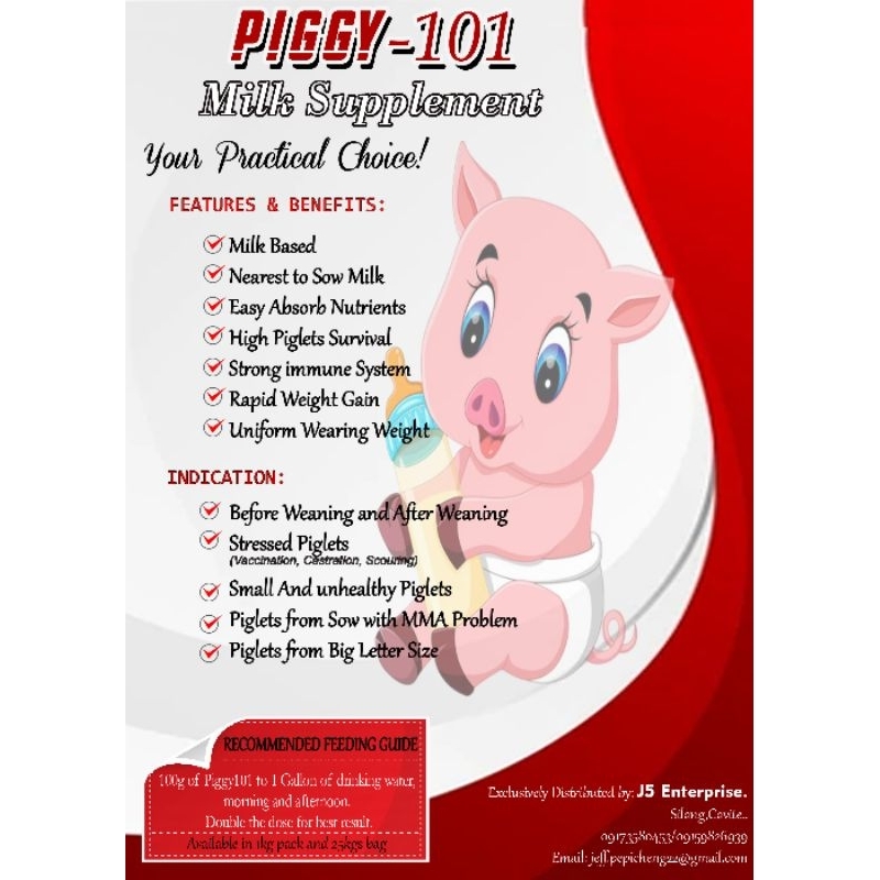 piggy 101 by J5 Enterprise | Shopee Philippines