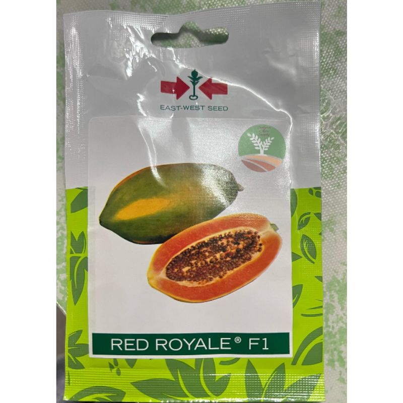 EAST WEST RED ROYALE F1 (+-100SEEDS) HYBRID PAPAYA SEEDS | Shopee ...