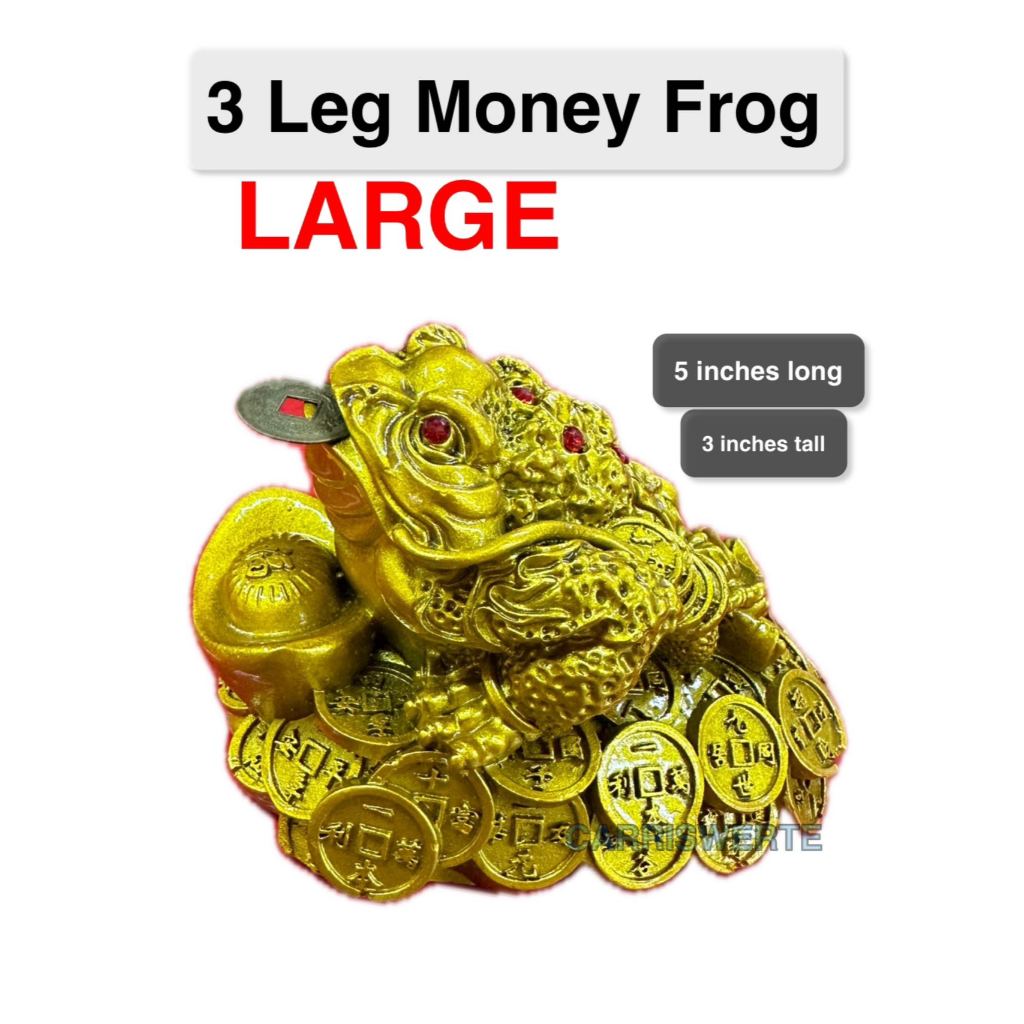 CARRISWERTE Fengshui Large Money Frog Lucky Money Toad with Coin To ...