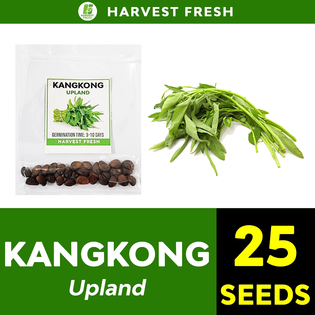 Vegetables Seeds - Cabbage Cauliflower Broccoli Kale Spinach Pakchoi ...