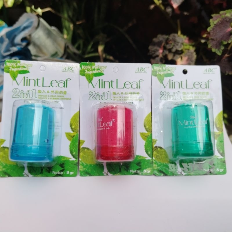 MINT LEAF MENTHOL INHALER & RUB | Shopee Philippines