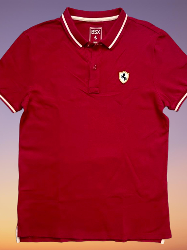 XANDY'S PRELOVED GIORDANO BSX POLO SHIRT FOR MEN | Shopee Philippines
