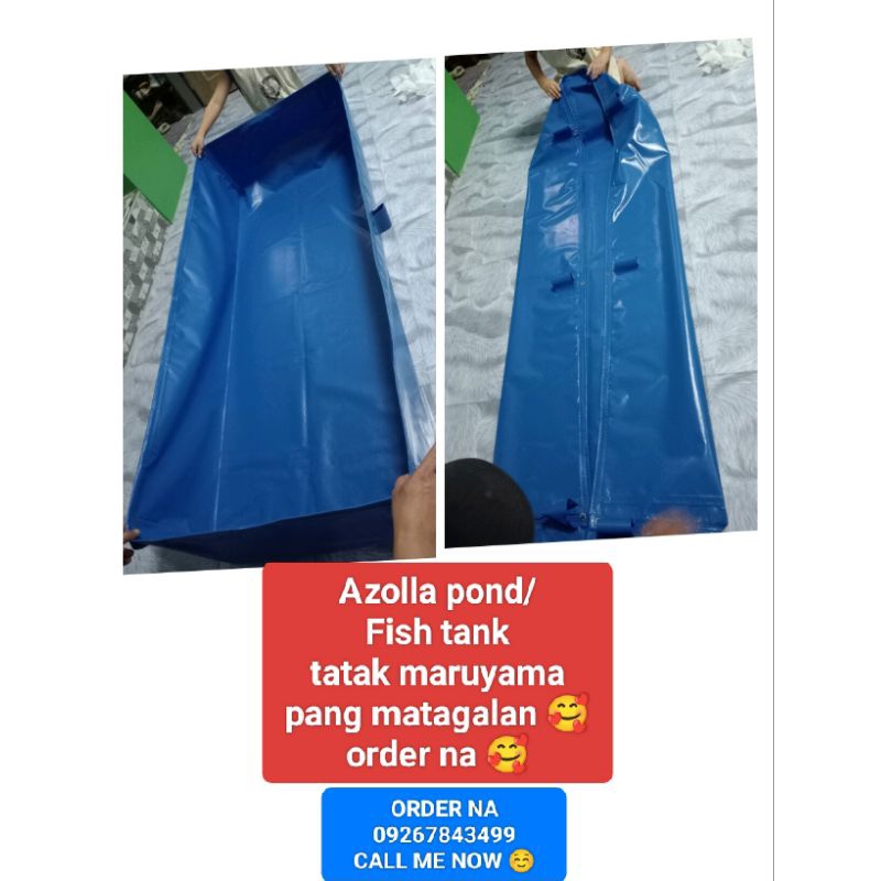 8x2x1ft azolla pond fish tank tatak maruyama original makapal matibay ...