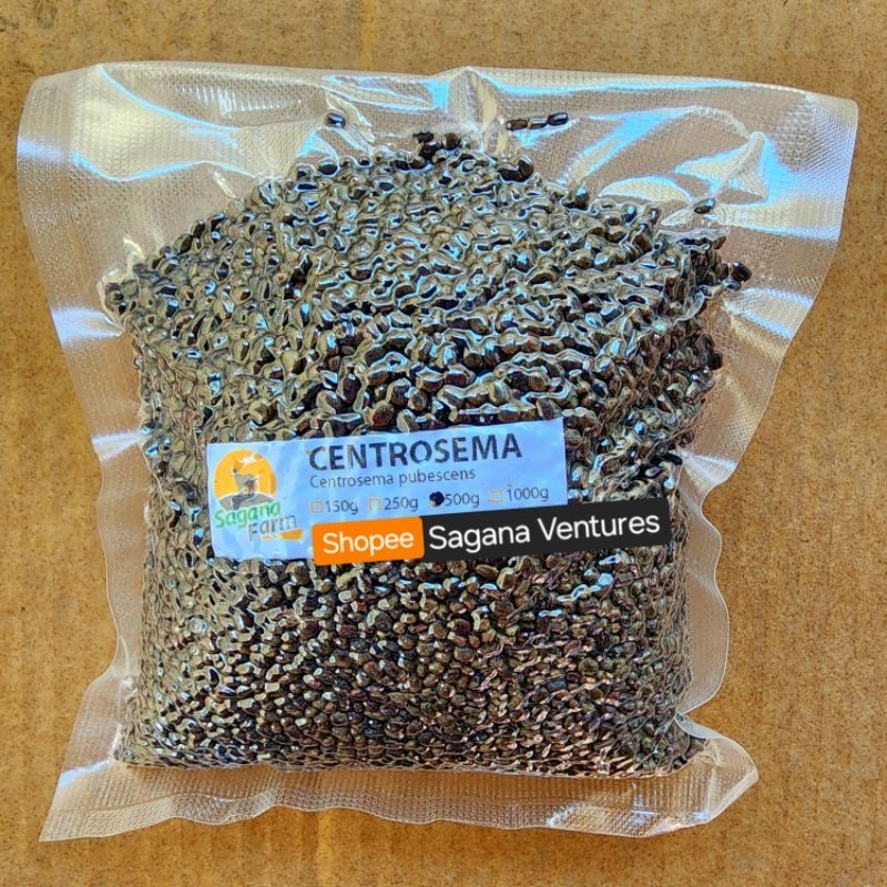 Centrosema Covercrop Seeds 150g to 1000g | Shopee Philippines