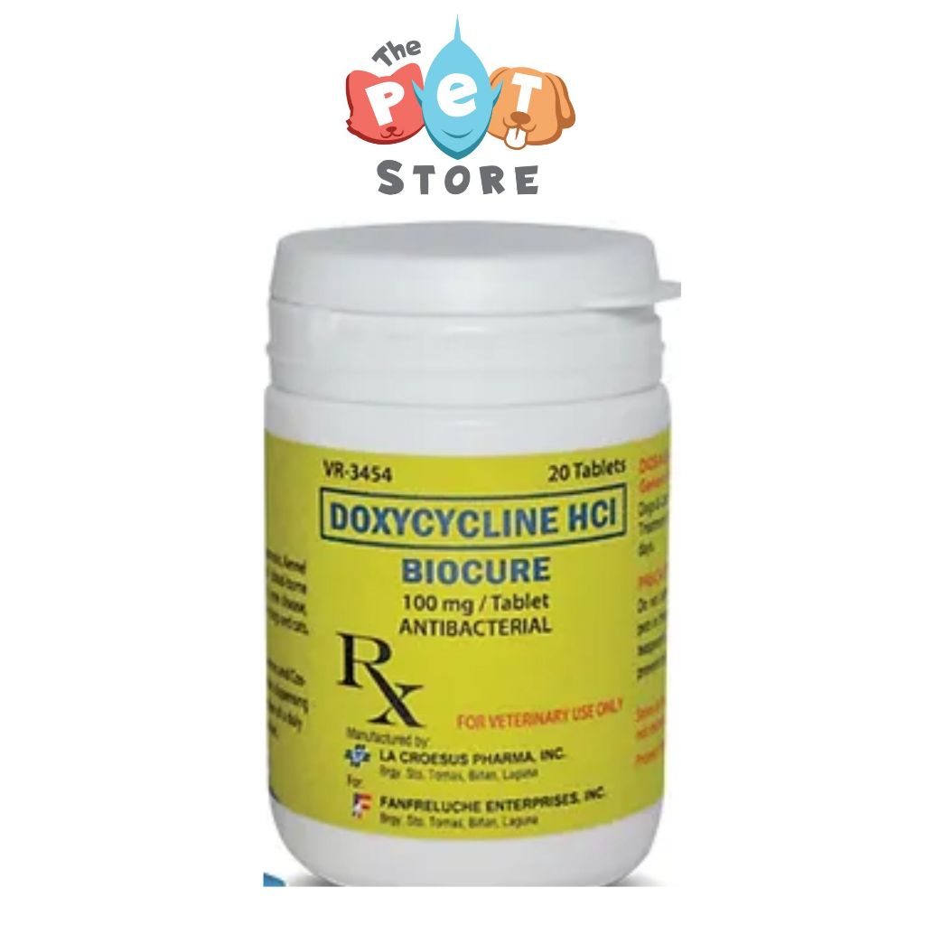 Biocure 20 tablets per Bottle Antibacterial (100mg/Tablet) Dog Cat ...