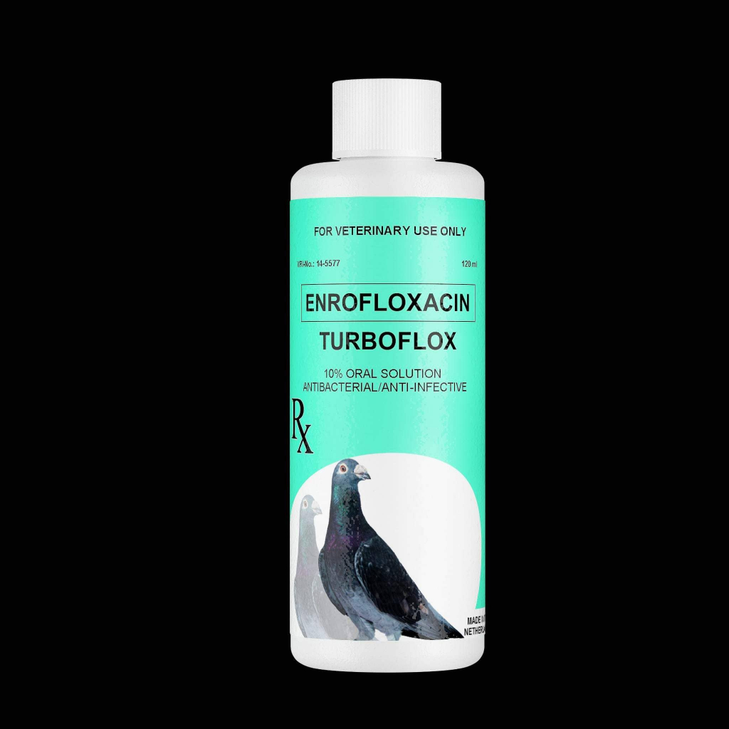 Kempeon Turboflox 120ml | Shopee Philippines