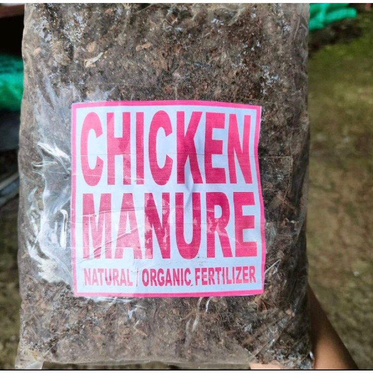 1 KG Chicken Manure (Dried) Natural and Organic Fertilizer - Best for ...