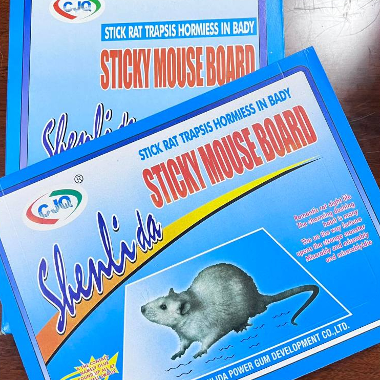 Sticky Mouse Board Mouse trap | Shopee Philippines