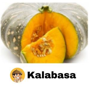 Vegetables Seeds kamatis talong pechay ampalaya sigarilyas upo lettuce ...