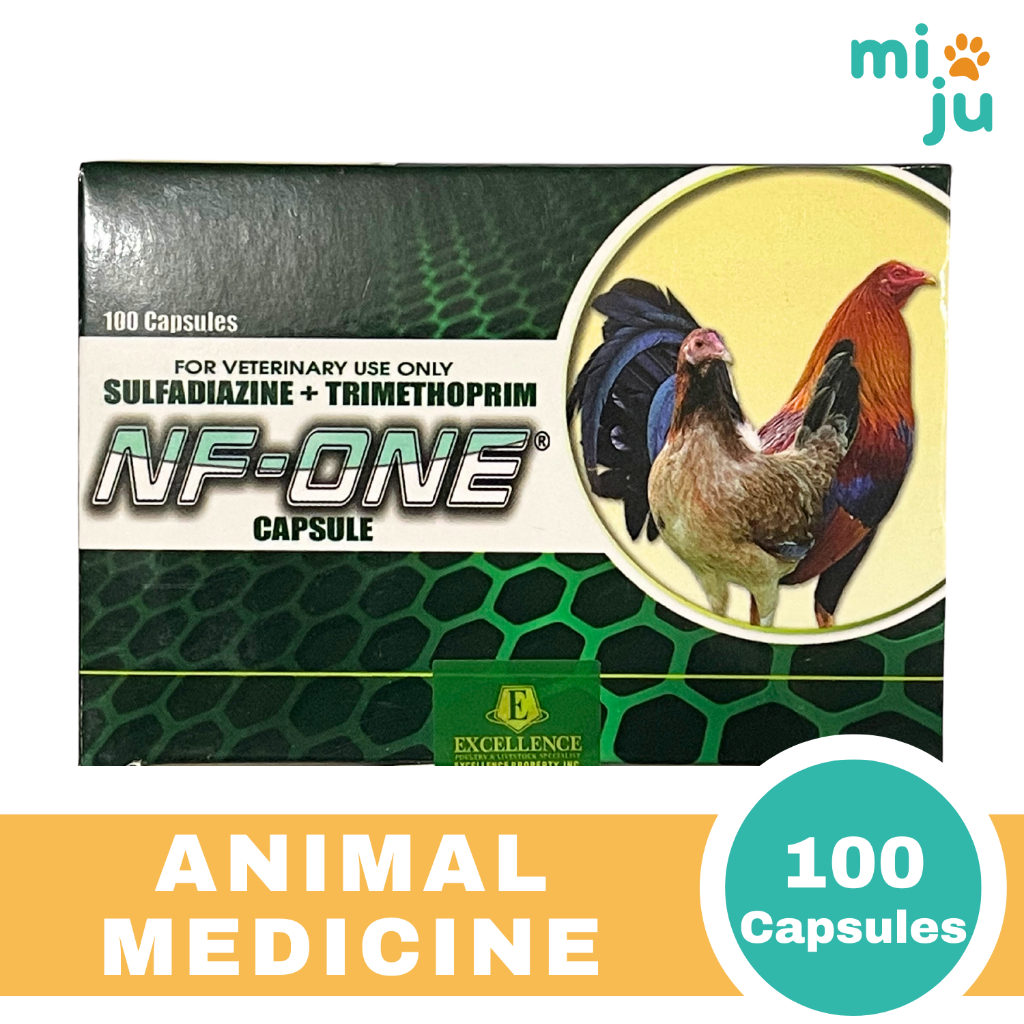 NF One (100 Capsules) | Shopee Philippines