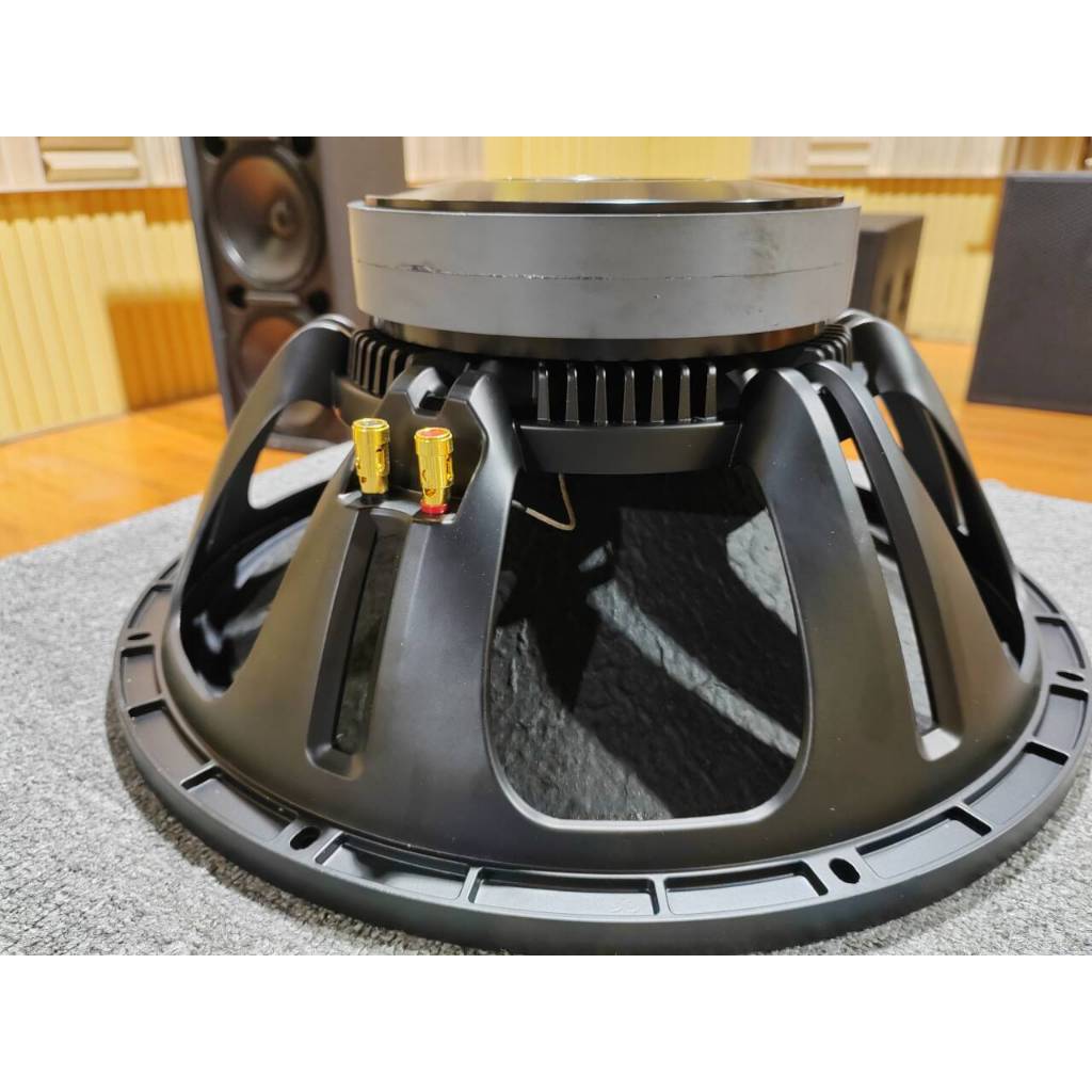 Professional speaker, dual 18 inch, subwoofer. Dual magnetic. 100 core ...