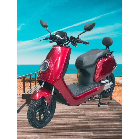 VITRONICS EBIKE(ZOE) Electric Bike for Adults Two-Wheeler Ebike ...