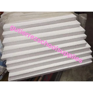 styrofoam - Best Prices and Online Promos - Dec 2025 | Shopee Philippines