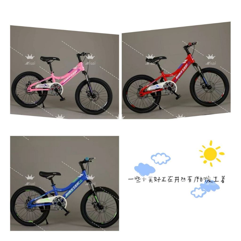 Single Speed Chromoly frame discBT236 BIKETEC Mini mountain bike ...