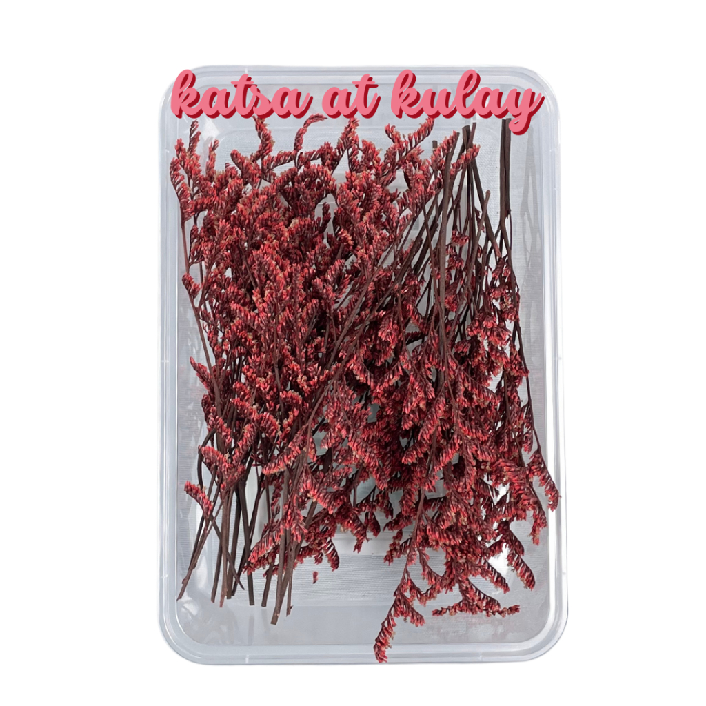 Misty Dried Flower | Shopee Philippines