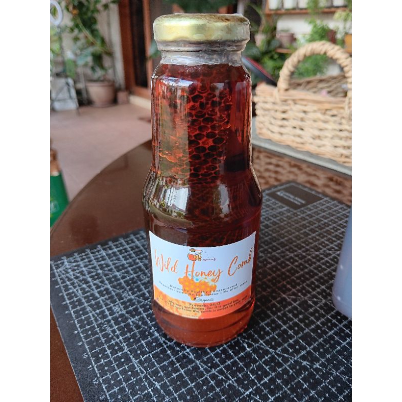 LAYWAN / LUKOT BEES - 100% Pure Wild Honey WEEKLY HARVEST / SUPPORT ...