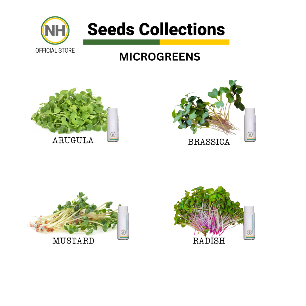 Microgreens Seeds | Nutrihydro | Shopee Philippines