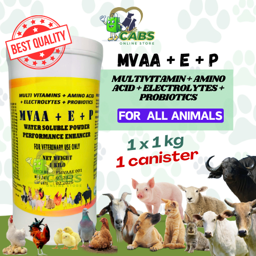 MULTIVITAMIN + AMINO ACID + ELECTROLYTES + PROBIOTICS (MVAA + E + P) 1 ...