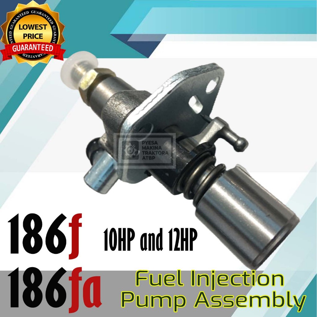 Fuel Injection Pump Assembly Assy for 186 186F 186FA 10hp to 12hp Air ...