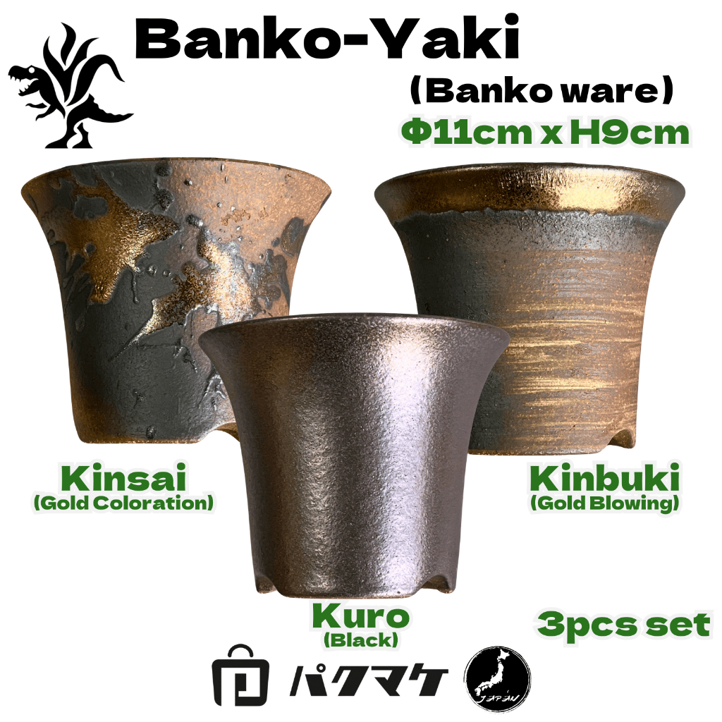 Kaiju Plant "Kinbuki(Gold Blowing)" "Kinsai(Gold Coloration)" "Kuro ...