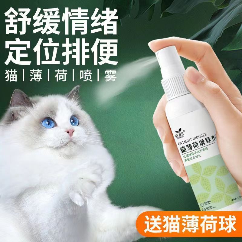 Cat Mint spray Emotion Soothing Agent Indoor defecation inducer Outdoor ...