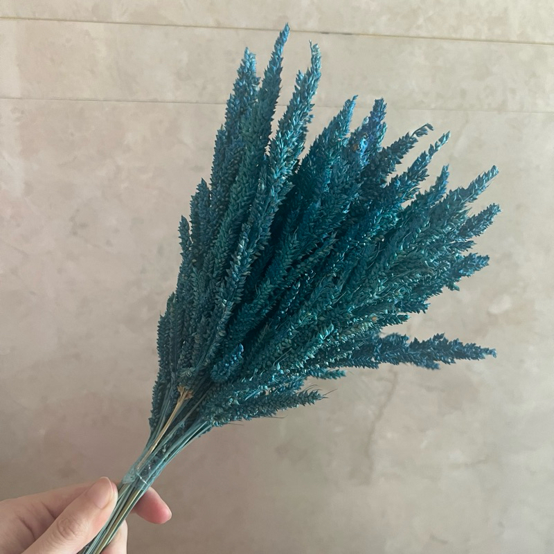 Dried Trigo Grass(LOCAL) | Shopee Philippines