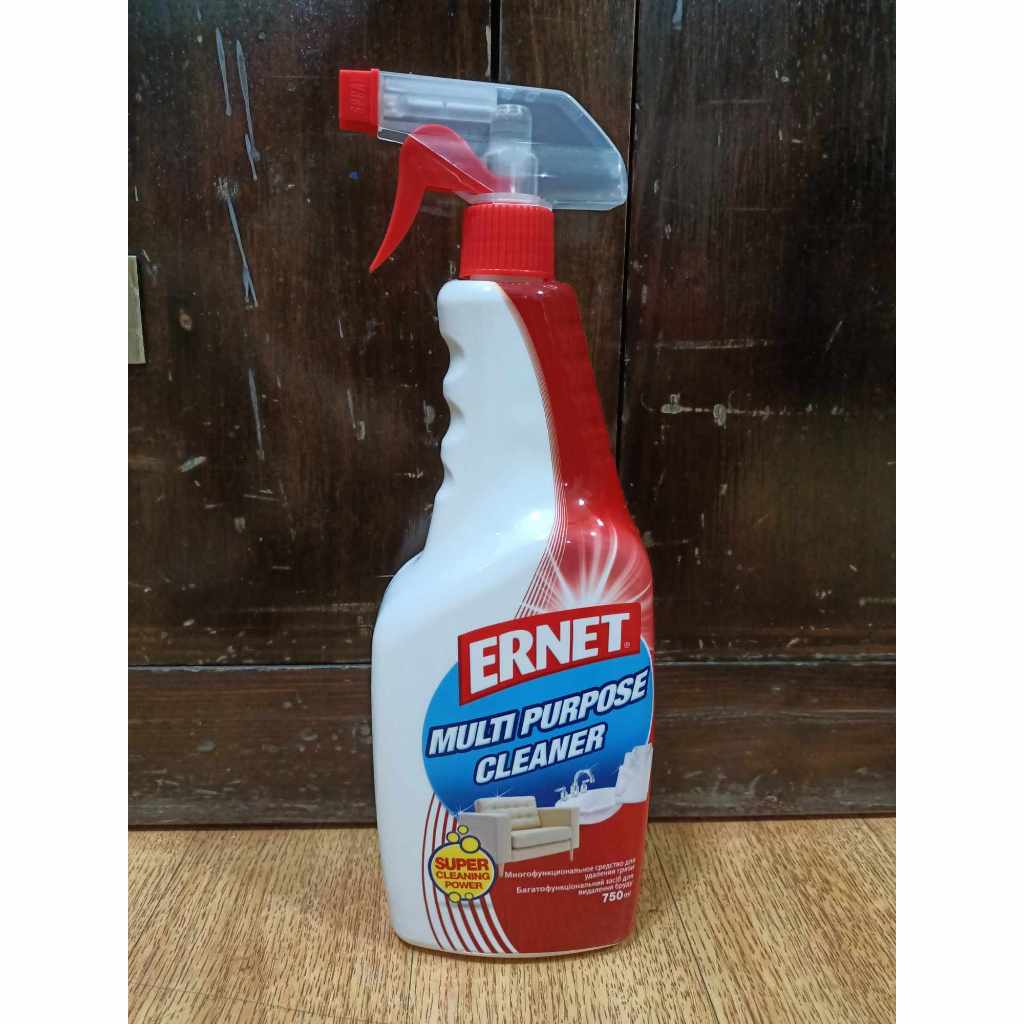 Ernet Multi-Purpose Cleaner ( 750mL ) | Shopee Philippines