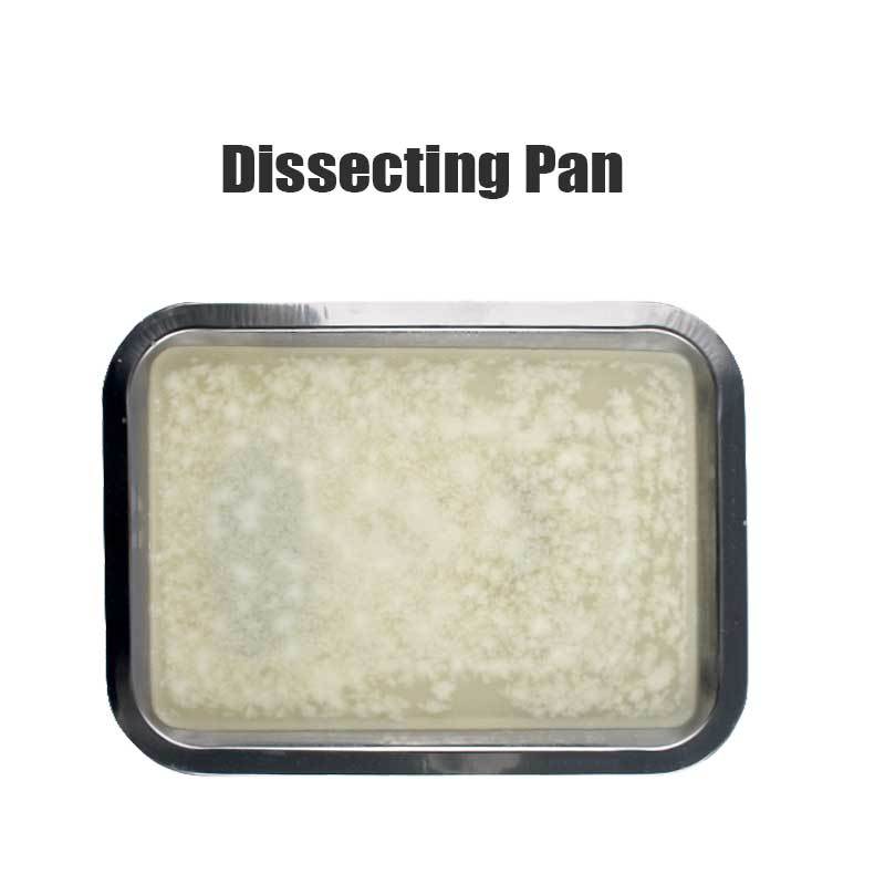 Dissecting Pan Wax Tray Stainless Steel Dissecting Pan | Shopee Philippines